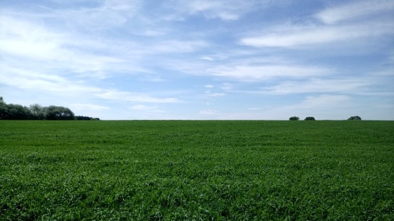 The Legend of Cold Christmas – JWalking