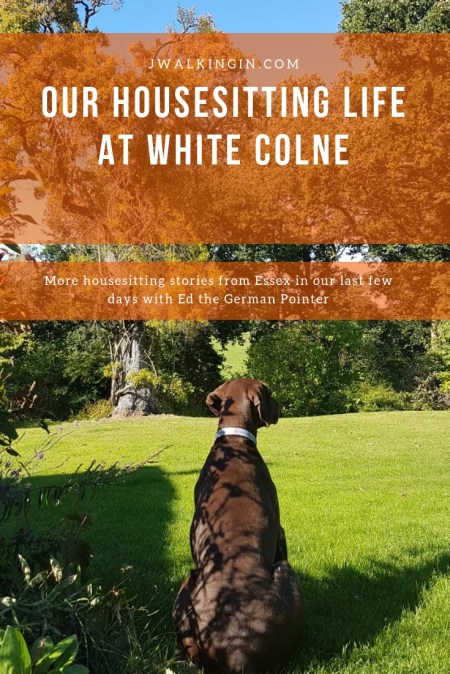 Life at White Colne – JWalking