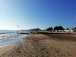 Fabulous February in the Forest – JWalking