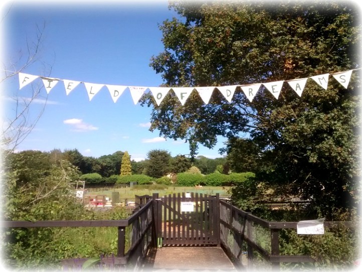 Excavating in Thelnetham – JWalking