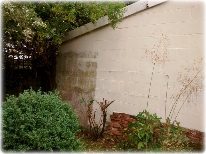 Excavating in Thelnetham – JWalking