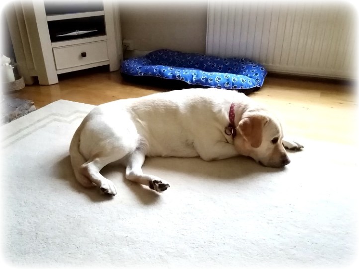 Biblical Barns Green – JWalking