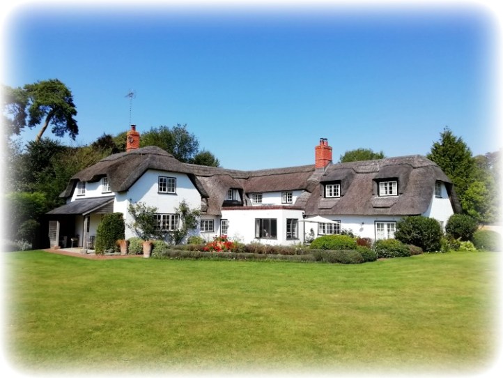 How to be a Good Housesitter – JWalking