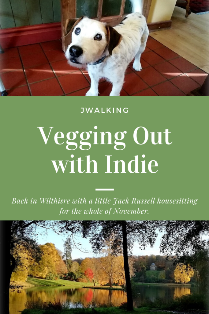 Vegging Out with Indie – JWalking