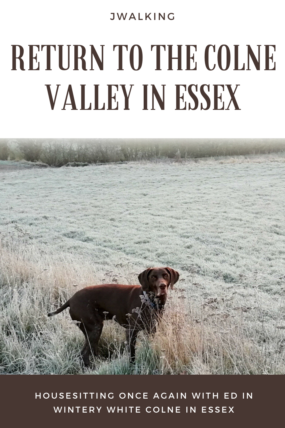 Return to the Colne Valley in Essex – JWalking