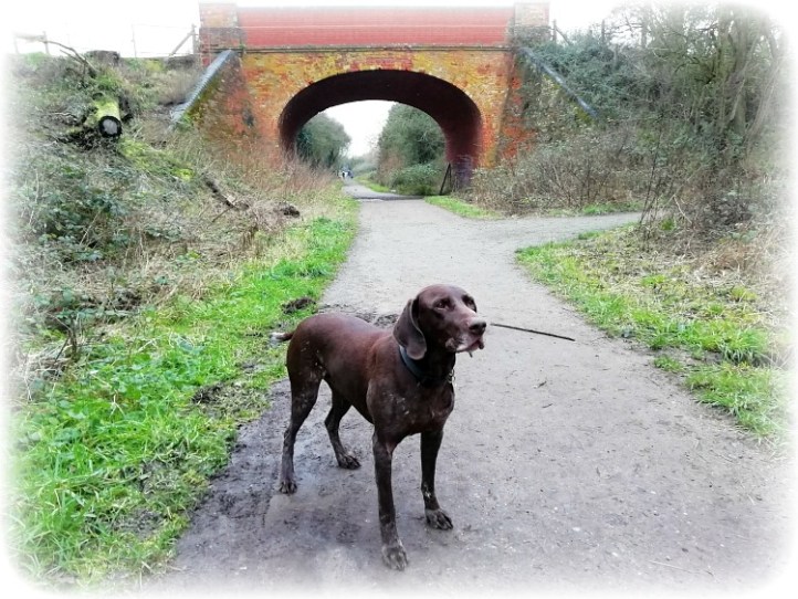 Exploring the Flitch Way – JWalking