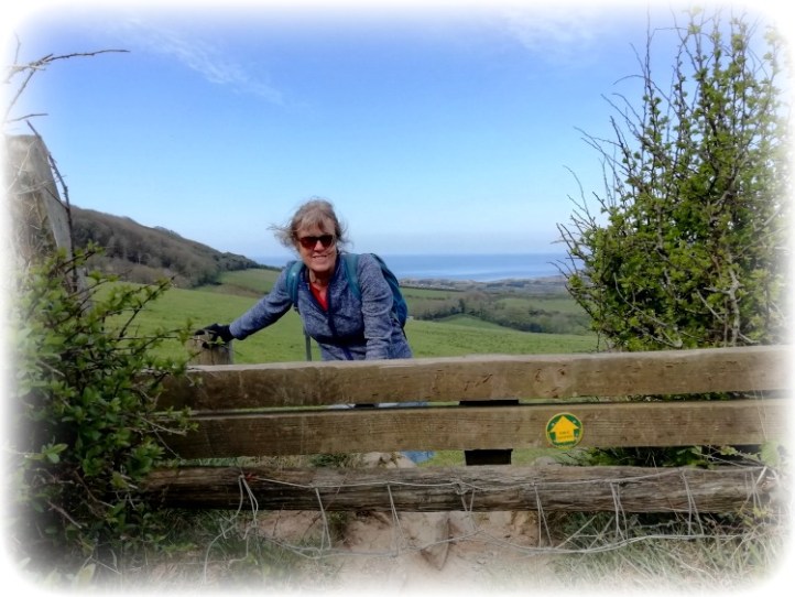 The Croyde Bay Wednesday Walk – JWalking
