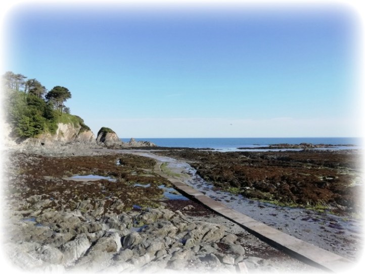 Scenes from our South West Coastal Walk – JWalking