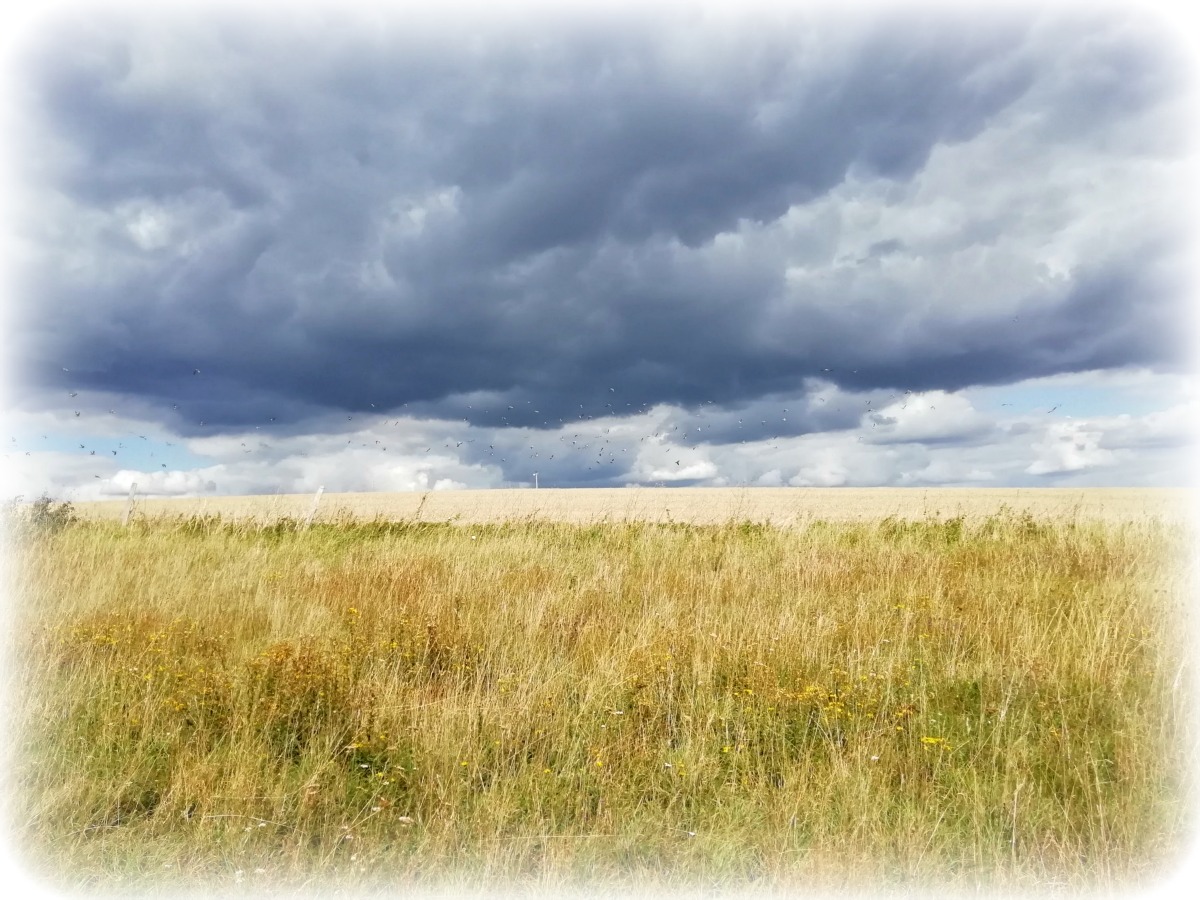 Leaving Hove, our longest housesit ever! – JWalking